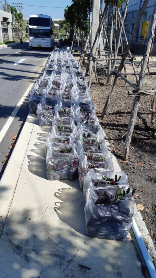 Cable trance รถไฟฟ้า BTS. - บริษัท สำเร็จรูป จำกัด